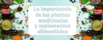 Importancia de las plantas medicinales y los suplementos alimenticios ...